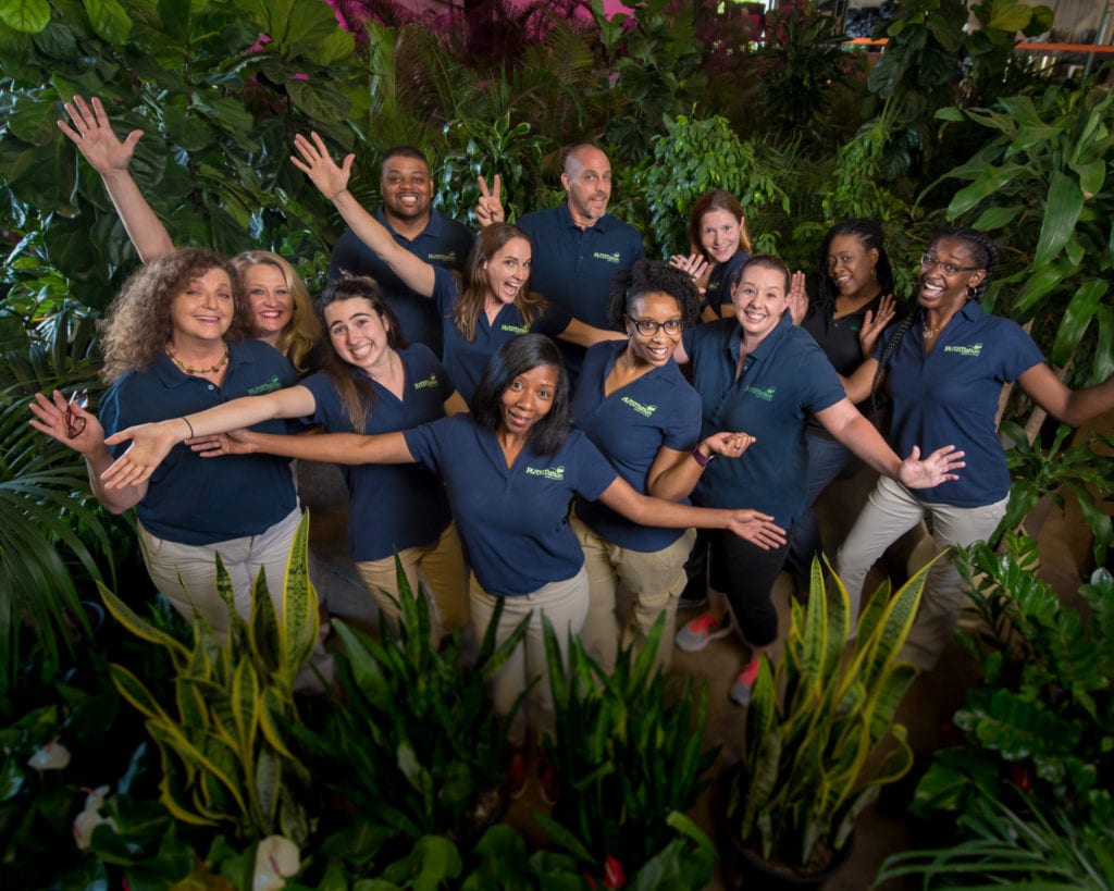 National Indoor Plant Week: Why Plants? - Leafscape